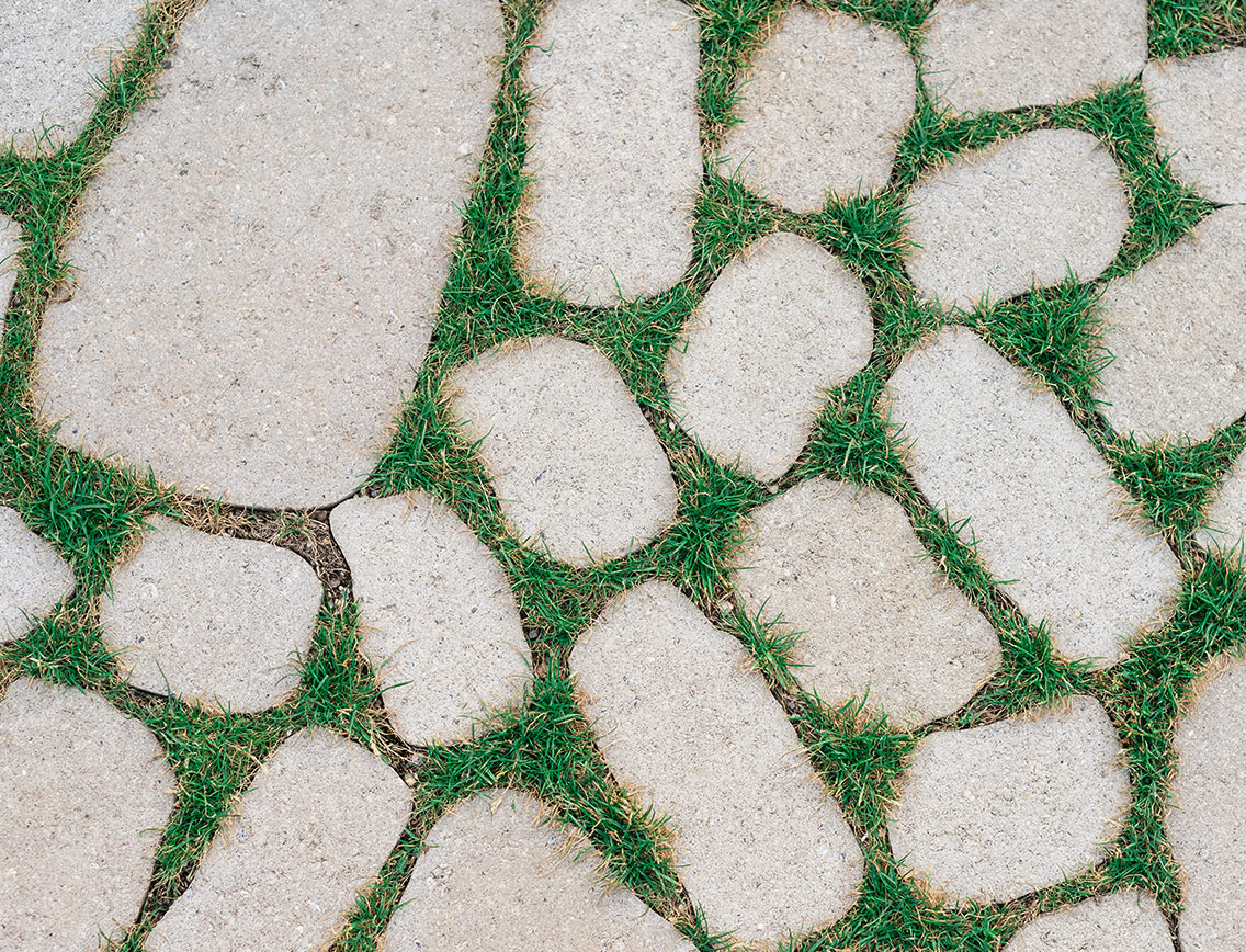 Bild vergrößern Auf Pinterest merken